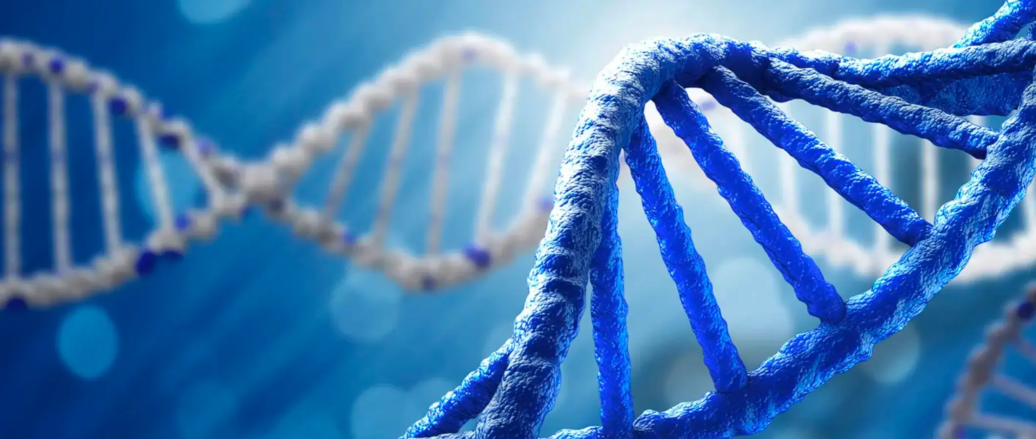 HSC Biology: A Detailed Guide to Test and Exam Preparation