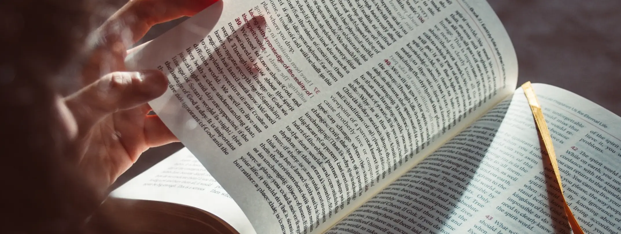 How many QCE Points do you need? Ultimate Guide for 2025