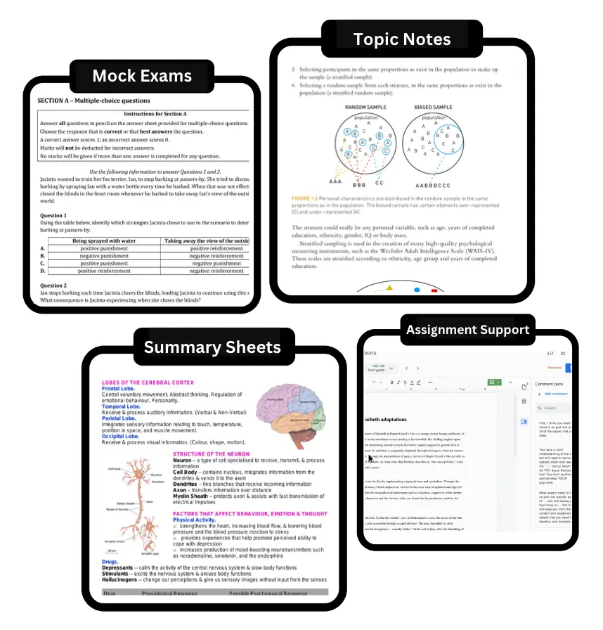 Expert IB Psychology Tutors | 1:1 Personalised Lessons